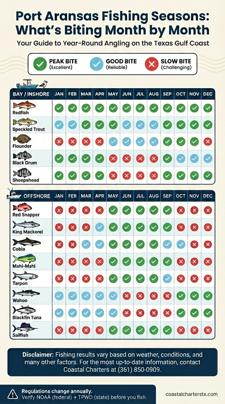 Port Aransas Fishing Calendar: What's Biting Month By Month - Coastal ...
